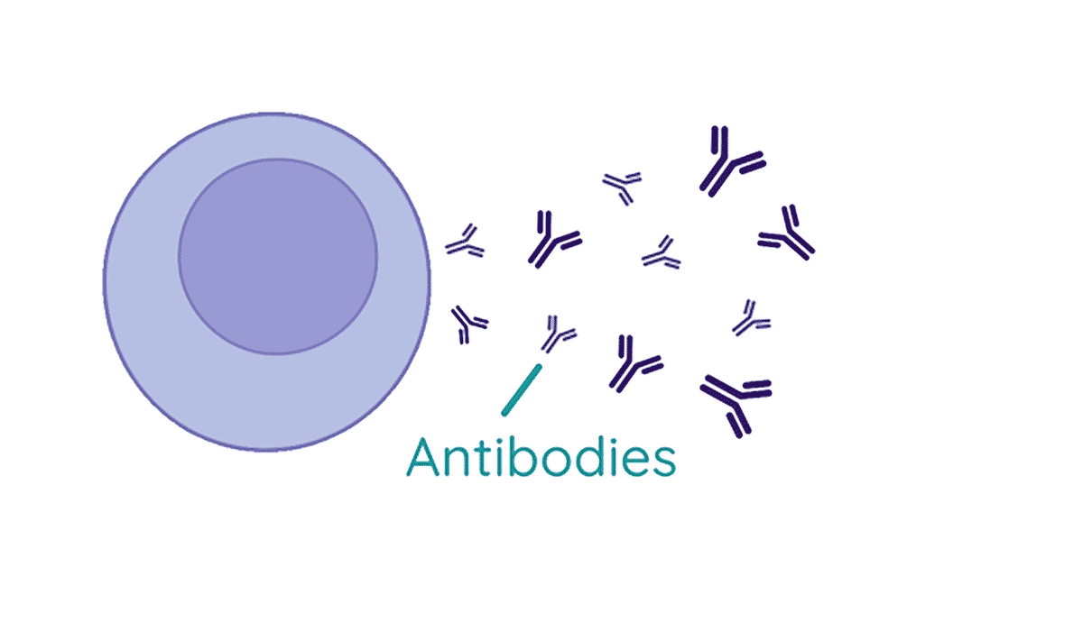 The Specific Defence System | Studyclix