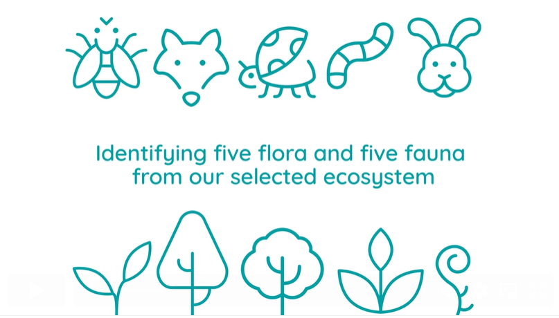 Identifying Fauna and Flora and the Apparatus Used to Collect Fauna ...