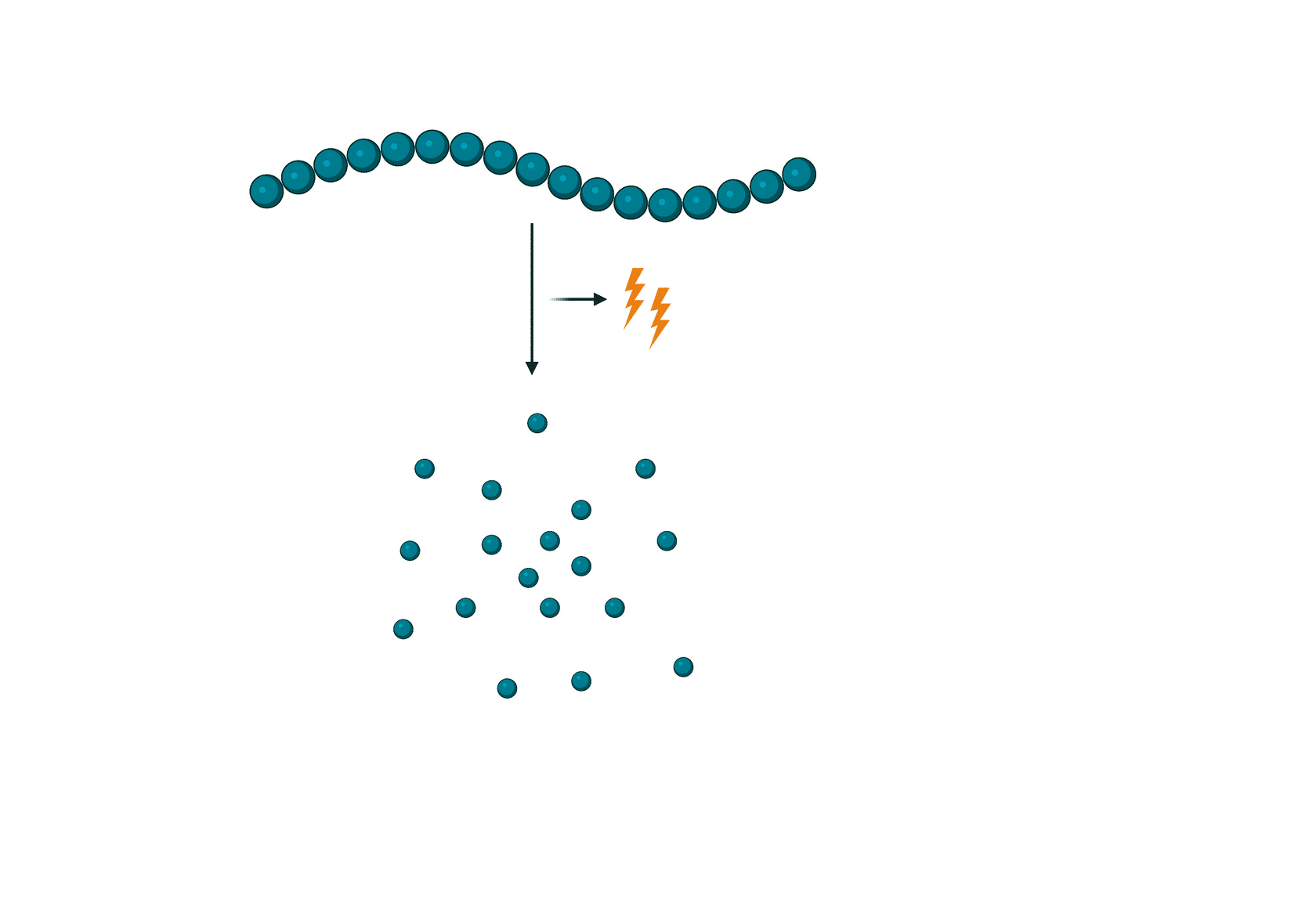 Biodiversity, Metabolism, and Continuity of Life | Studyclix