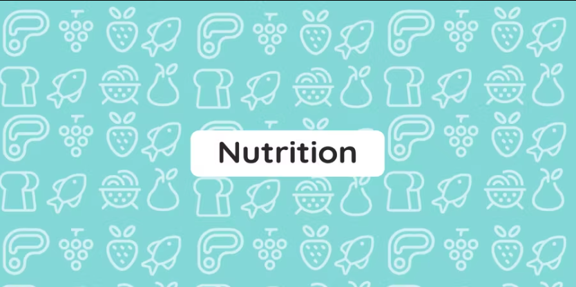 An Introduction to Food | Studyclix