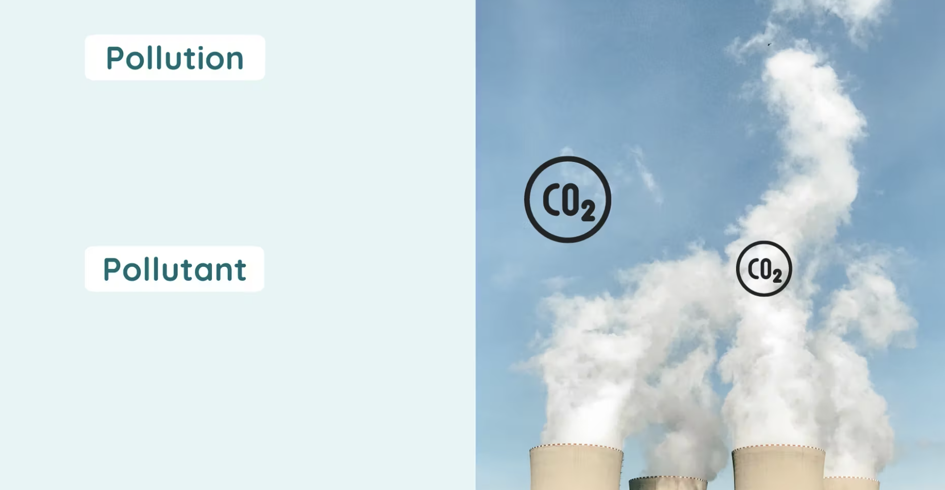 Pollution | Studyclix