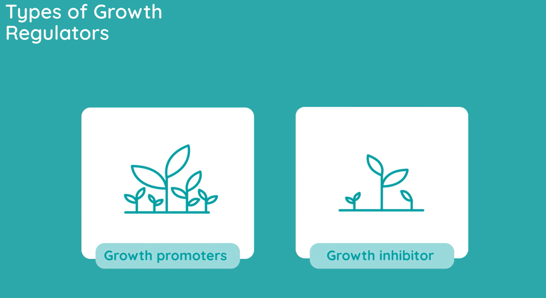Growth Regulators and Their Uses | Studyclix