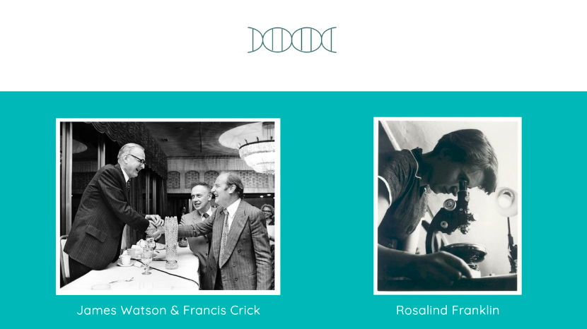 Genetic Crosses | Monohybrid Crosses | Studyclix