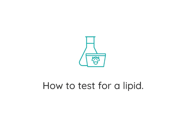 Test for Lipid | Studyclix