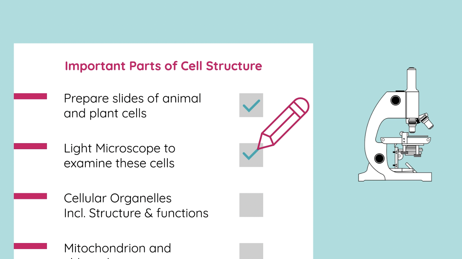 Cell Structure | At a Glance | Studyclix