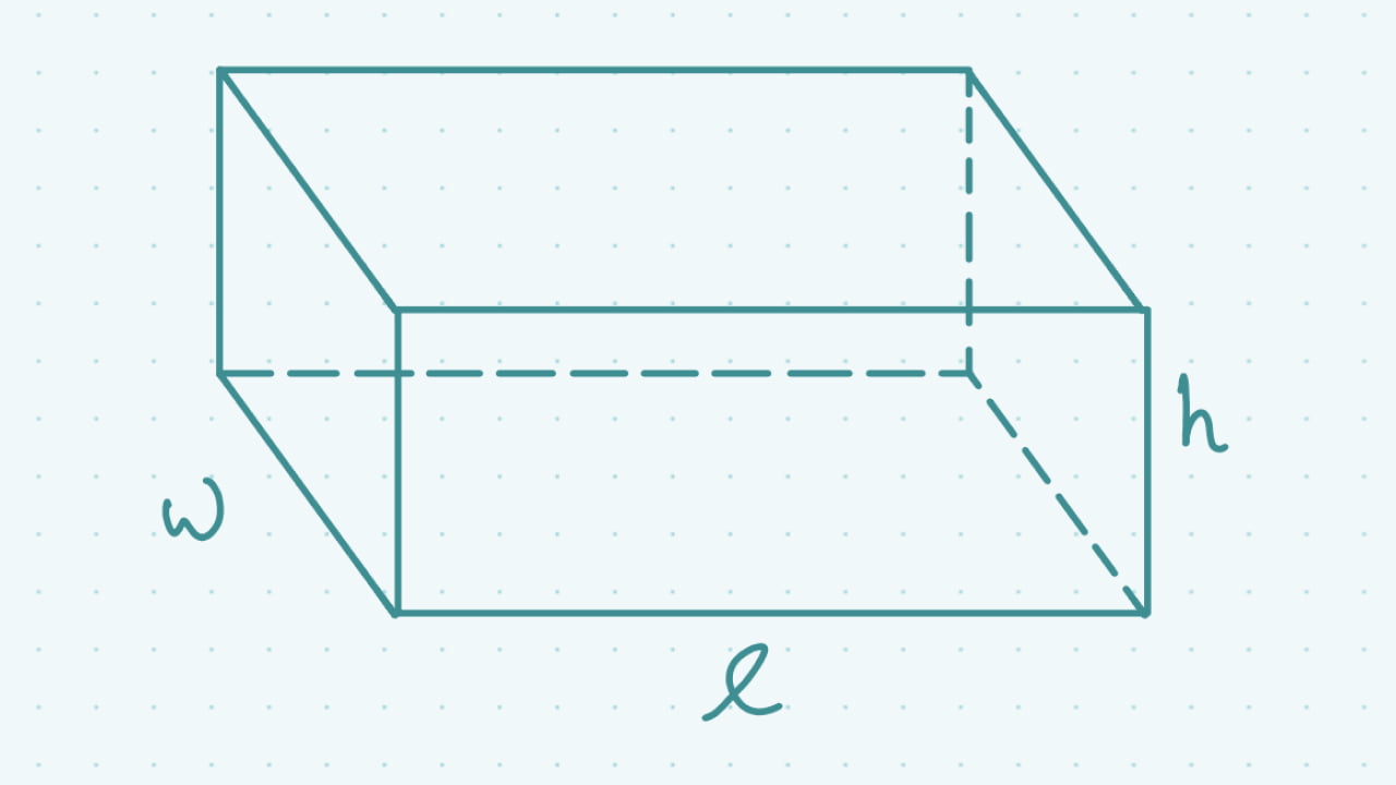 Net of a Cuboid | Studyclix