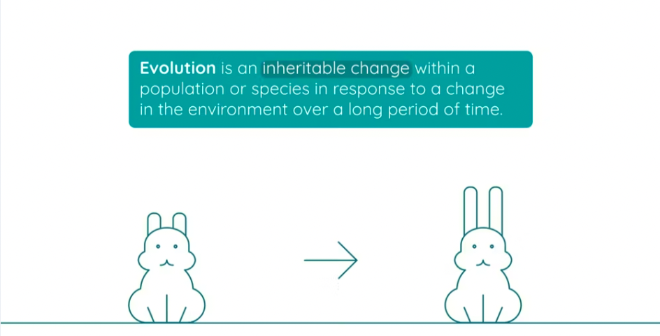 Studyclix | Genetics, DNA & Evolution
