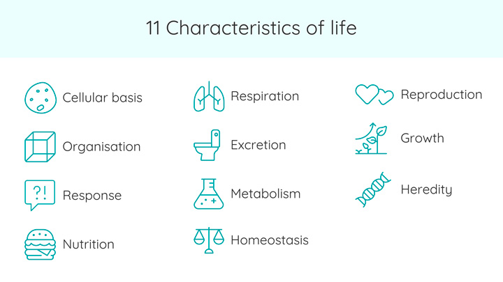 Characteristics of Life