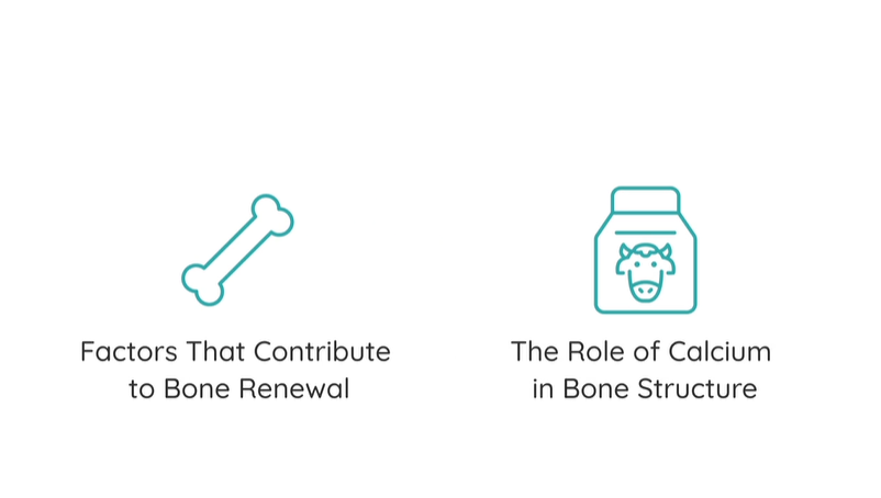 Bone Renewal and the Role of Calcium | Studyclix