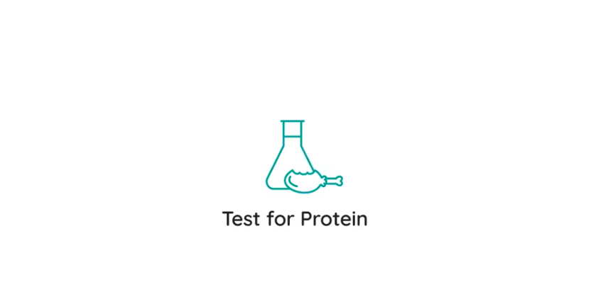 Test for Protein | Studyclix