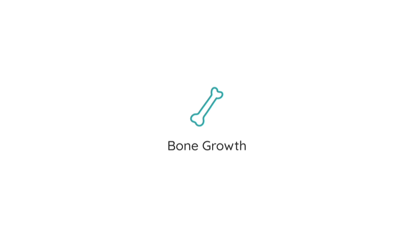 Bone Growth | Studyclix