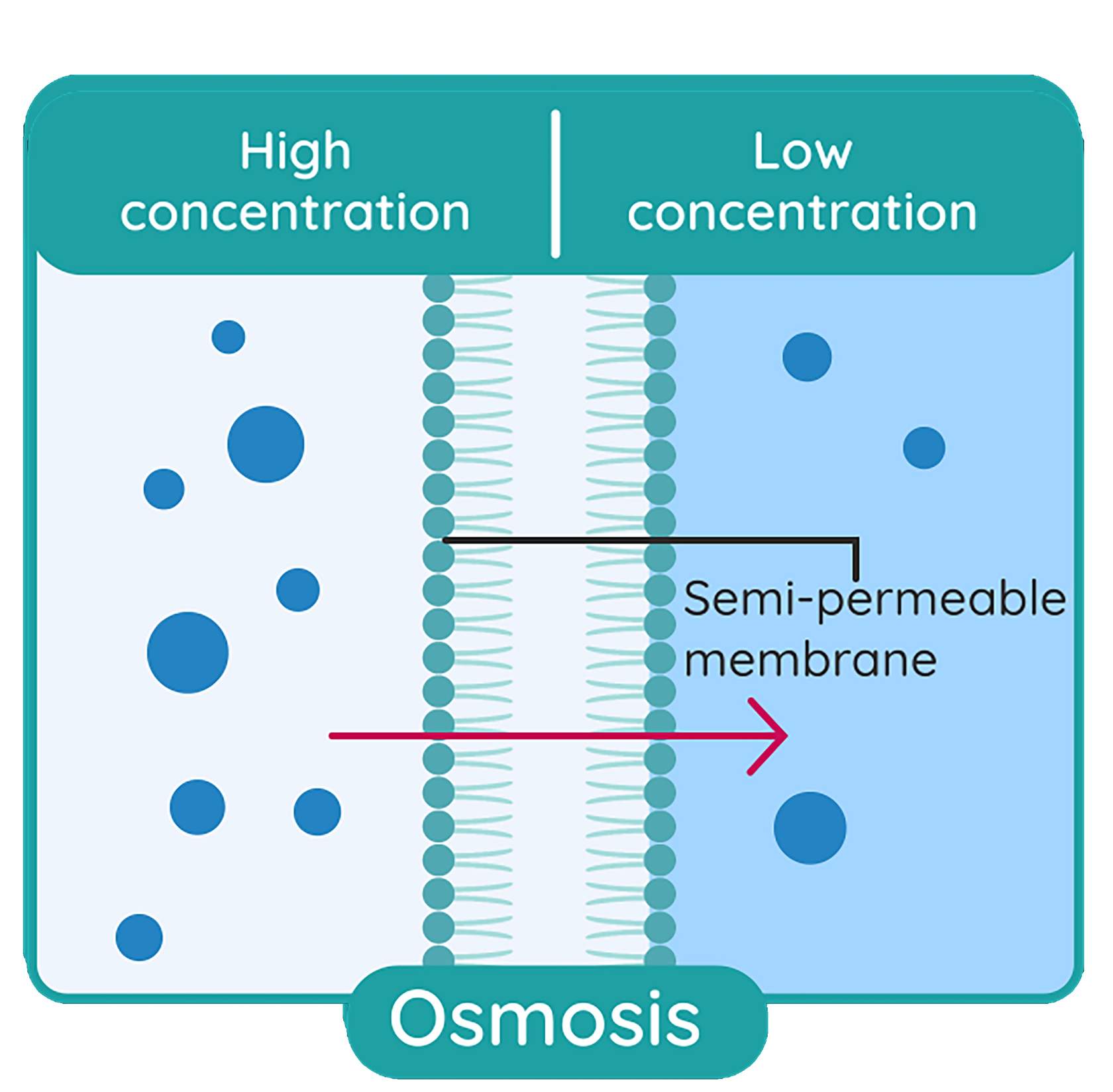 What does permeable mean store