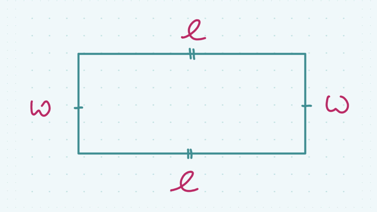 Rectangles | Studyclix