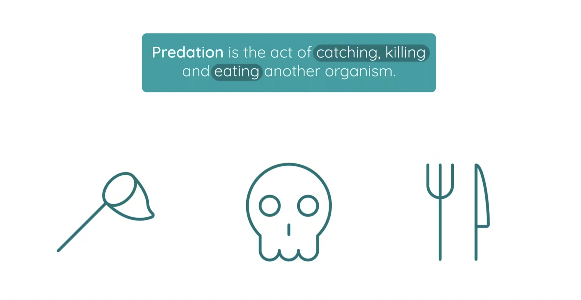 Ecological Relationships - Predation | Studyclix