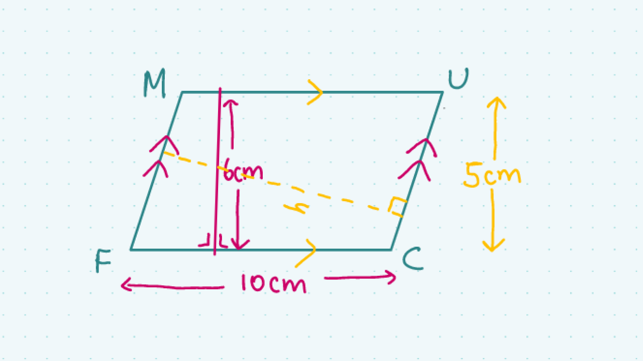 Parallelograms | Studyclix